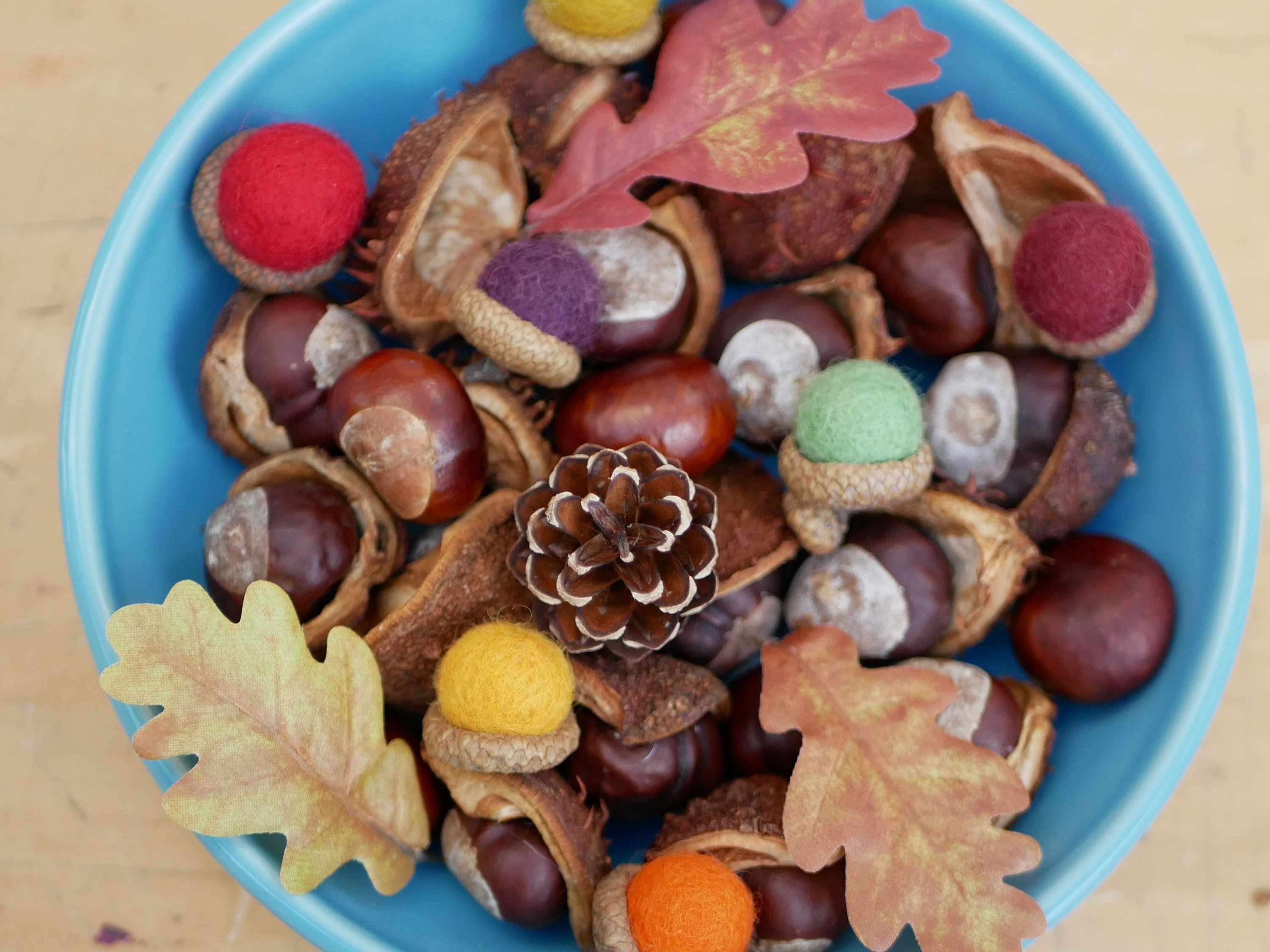 Dried Conkers Conkers in Shells ,dried Natural Conkers Nuts,fall ...