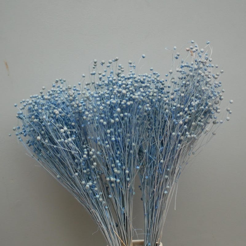 Blue Dried Flowers - Etsy