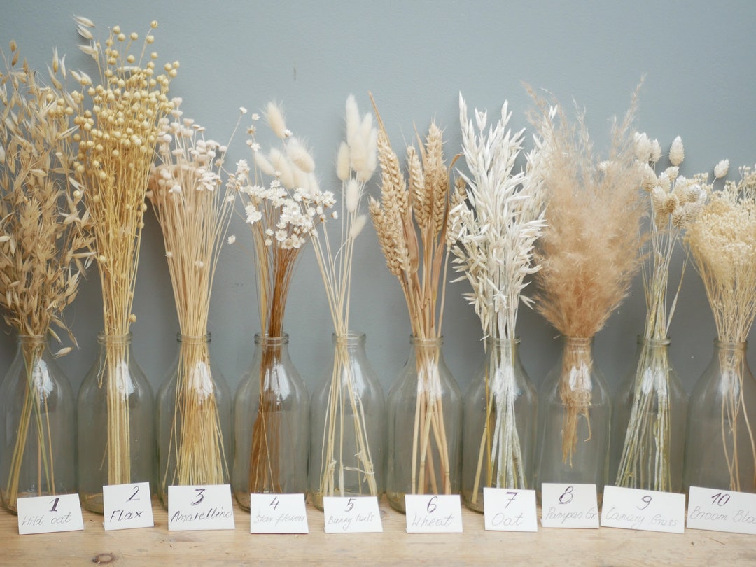 Mix of White and Cream Wheat Stems / Canary Grass /oat Dried Grass ...