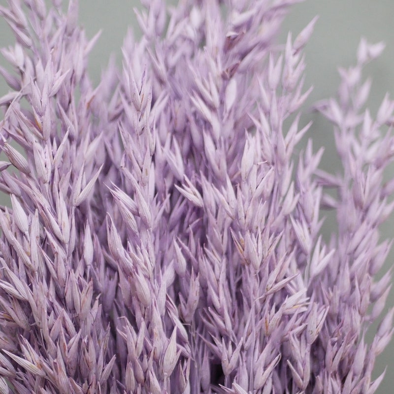Rustic Purple Decor - Etsy