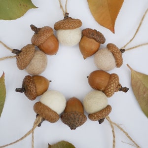 Felt Balls Natural Mix Natura,dried Oak Cups With Wool Balls Nuts,fall ...