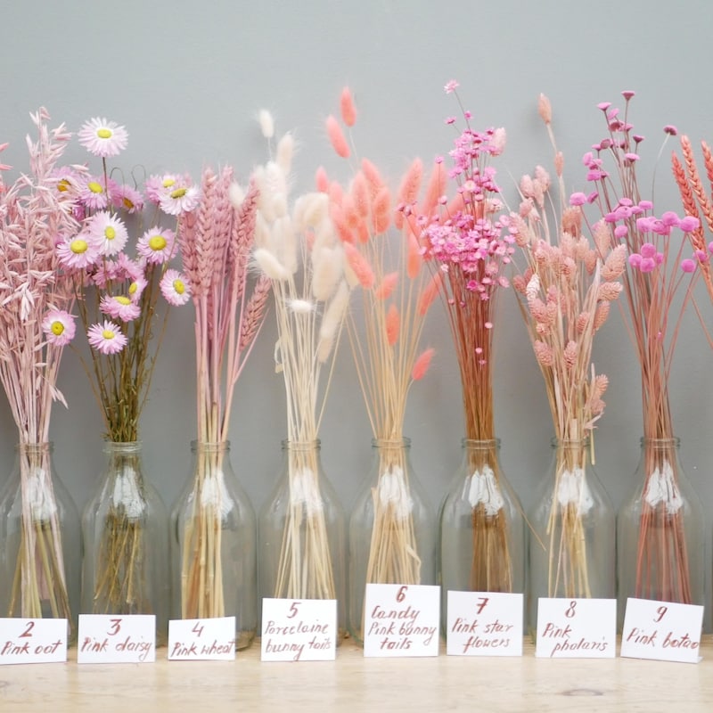 Dried Flowers by Wild Lilac - Etsy UK