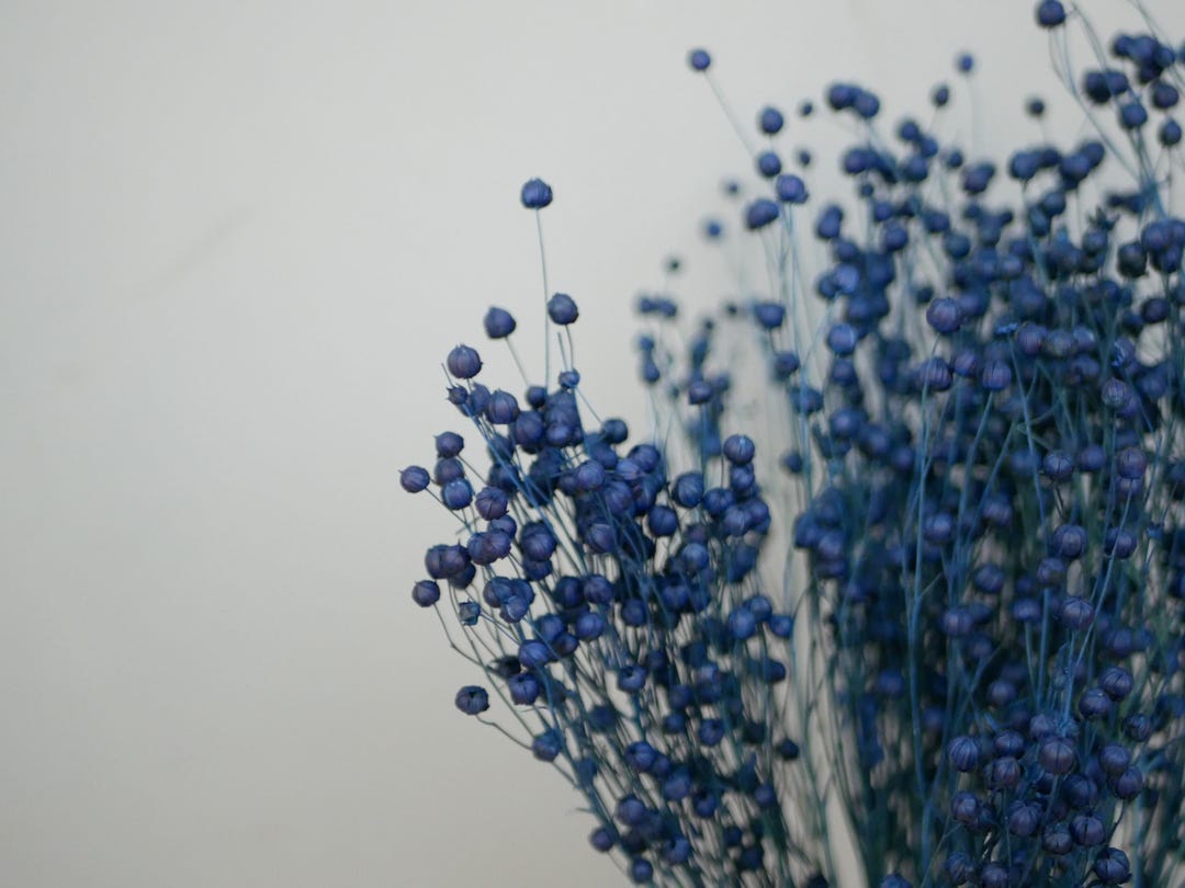 Flax Navy Blue / Dried Flowers | Rustic Home Wedding - Etsy