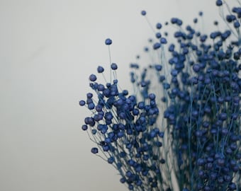 Margaret Dried Sky Blue Dried Flowers DIY Home Decor 15g Wedding ...