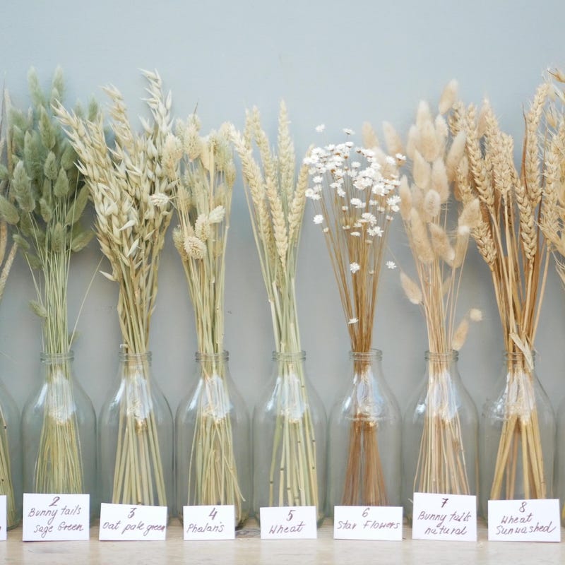 Dried Plant Home Decor - Etsy UK