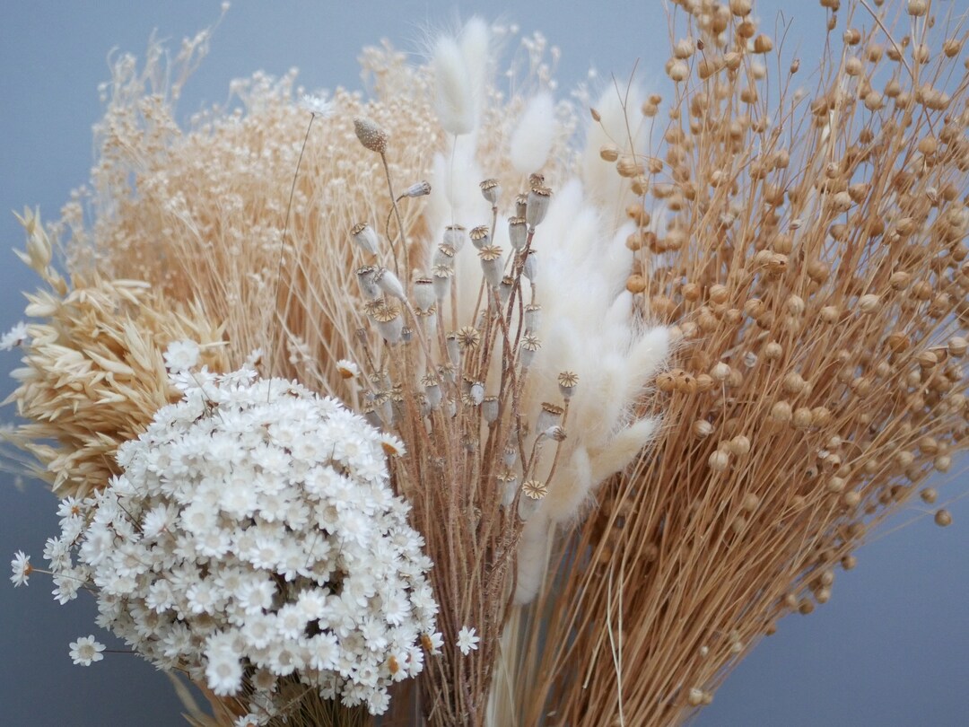 Mix of Dried Beige,cream Broom/star Flowers /oat Dried Grass /bunny ...