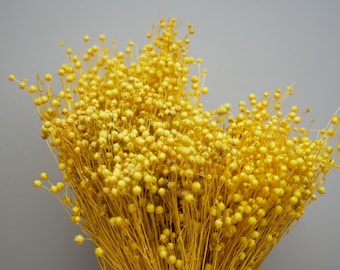 Dried Yellow Yarrow, Dried Yarrow, Dried Decor, Dried Flowers, Pressed ...