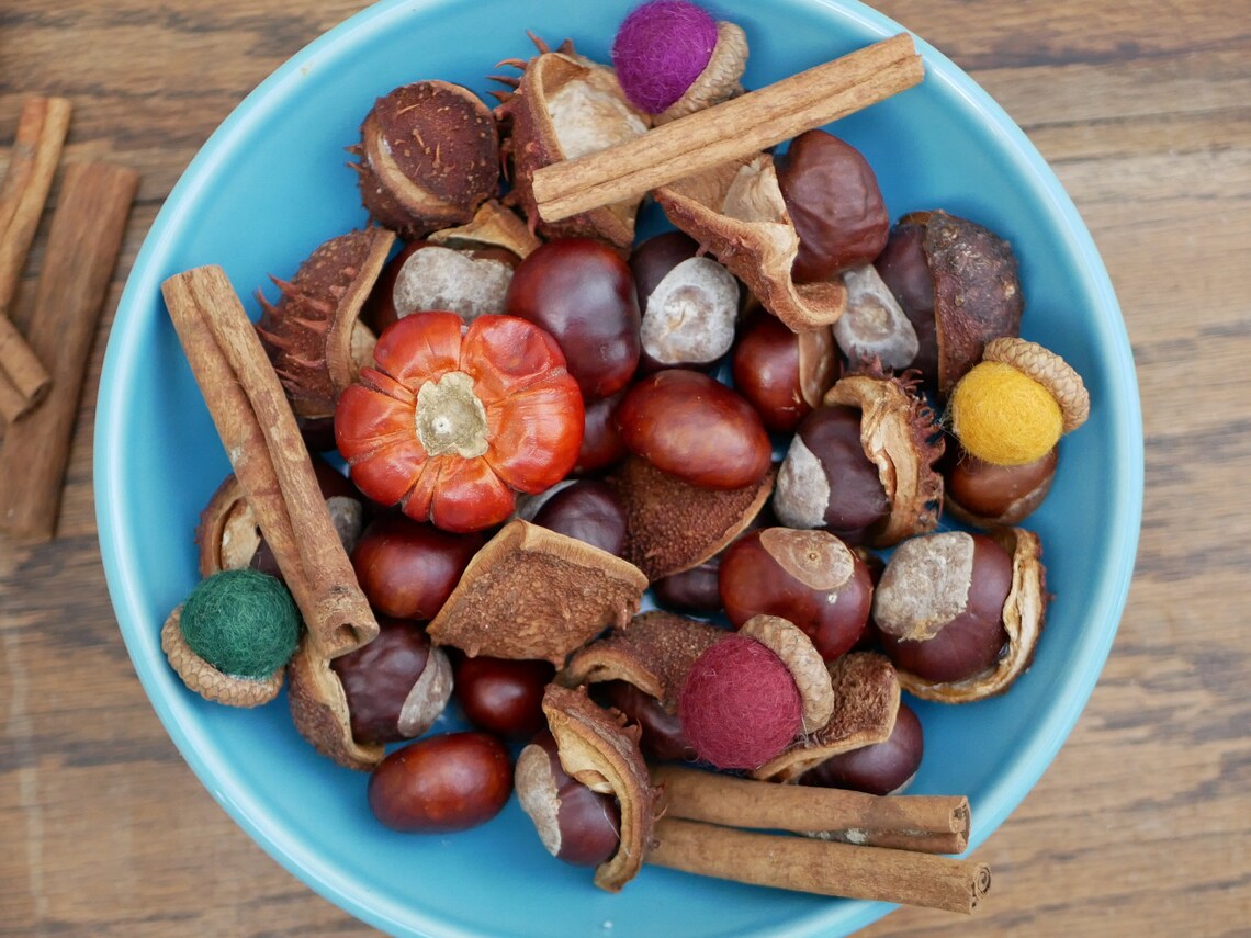 Dried Conkers Conkers in Shells ,dried Natural Conkers Nuts,fall ...