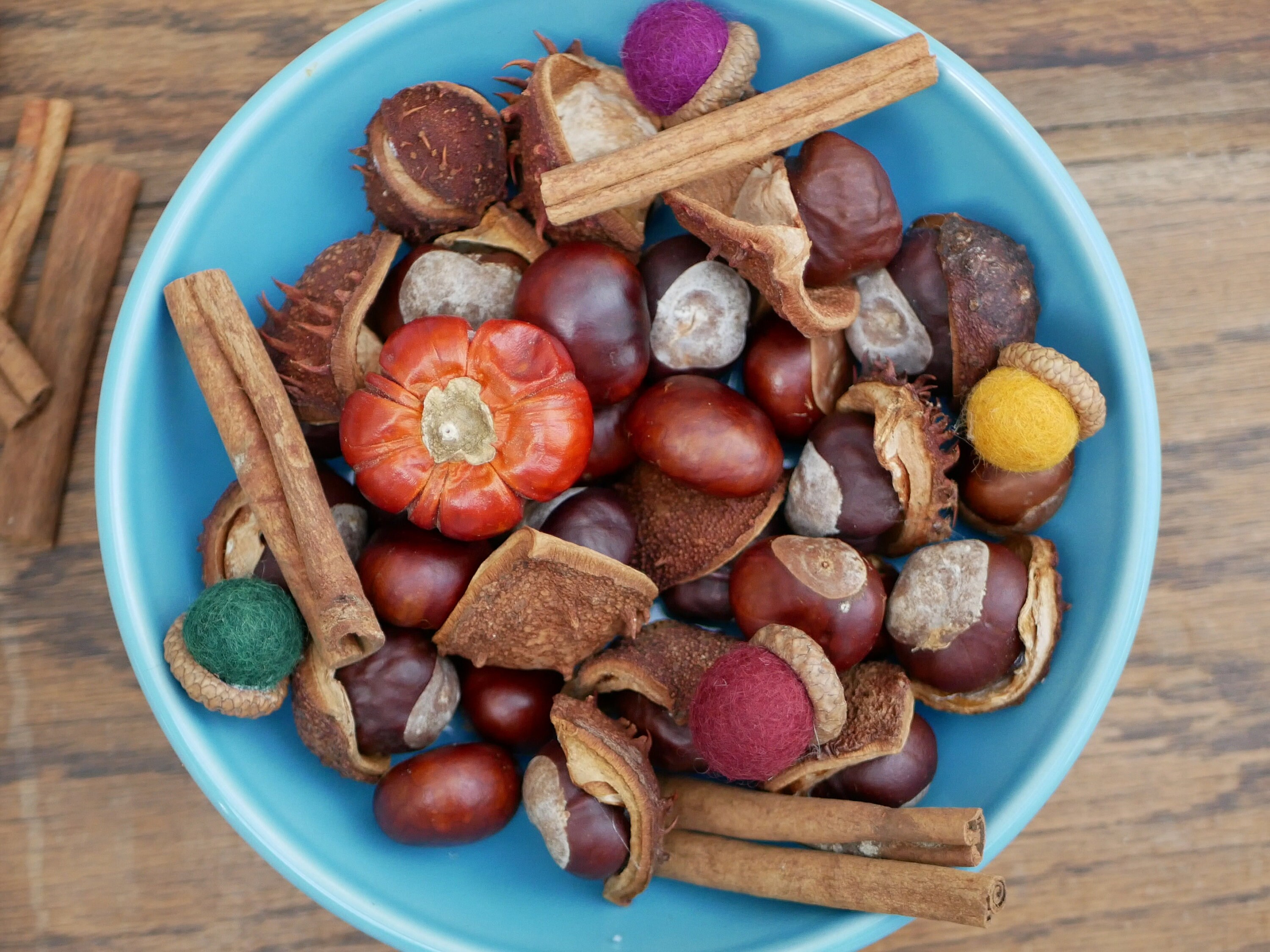 Dried Conkers Conkers in Shells ,dried Natural Conkers Nuts,fall ...