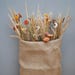 Mix of White and Cream Wheat Stems / Canary Grass /oat Dried Grass ...
