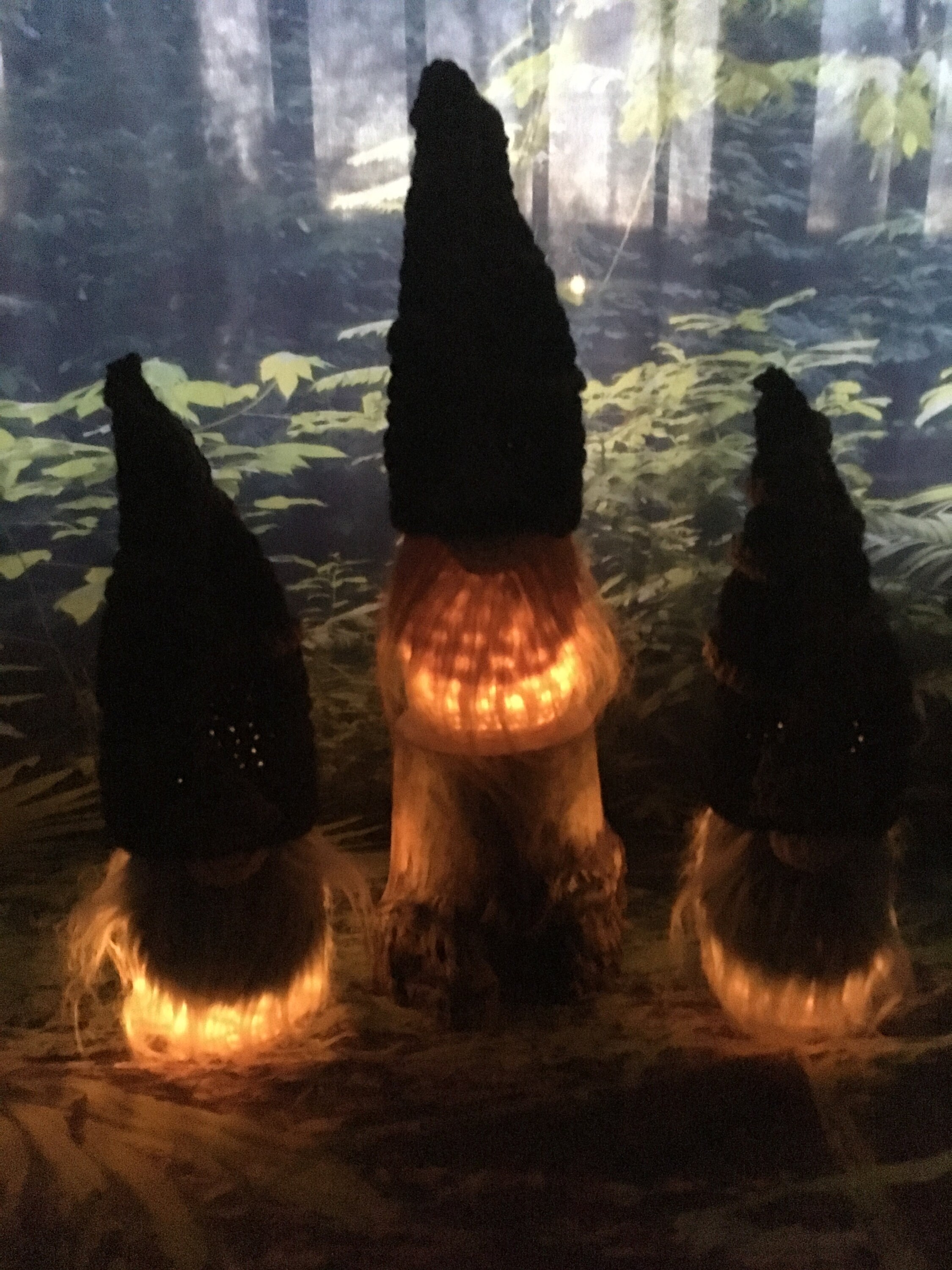 Nighty Gnome Night Lights dark Series - Etsy