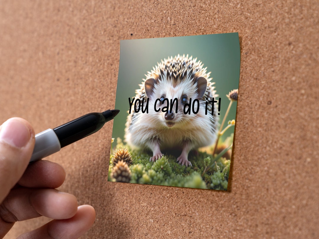 Hedgehog Sticky Notes 3"x3" 50 Sheet Count Cute Hedgehog, Cute Funny ...