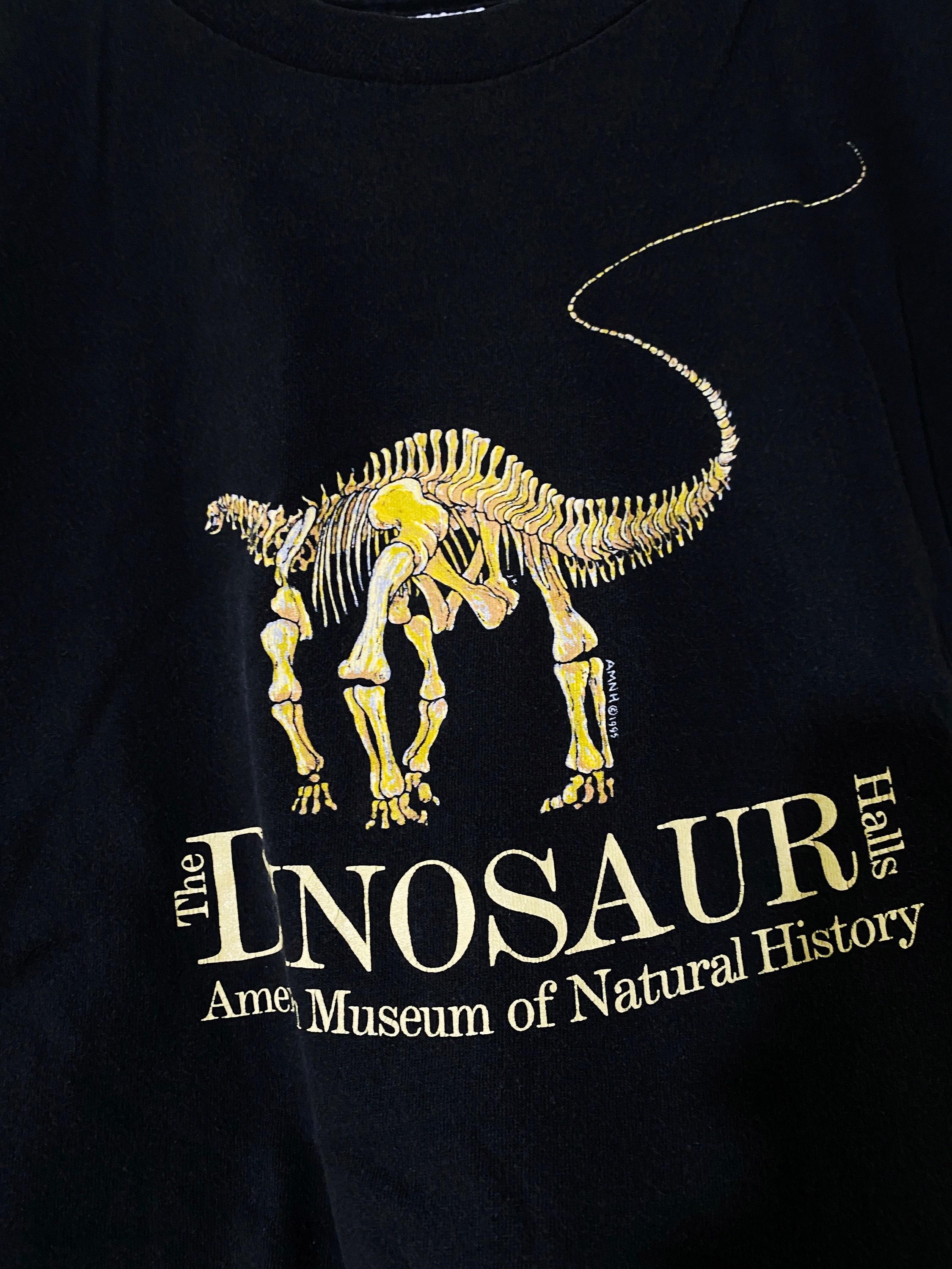 Vintage the American Museum of Natural History Dinosaur Shirt - Etsy
