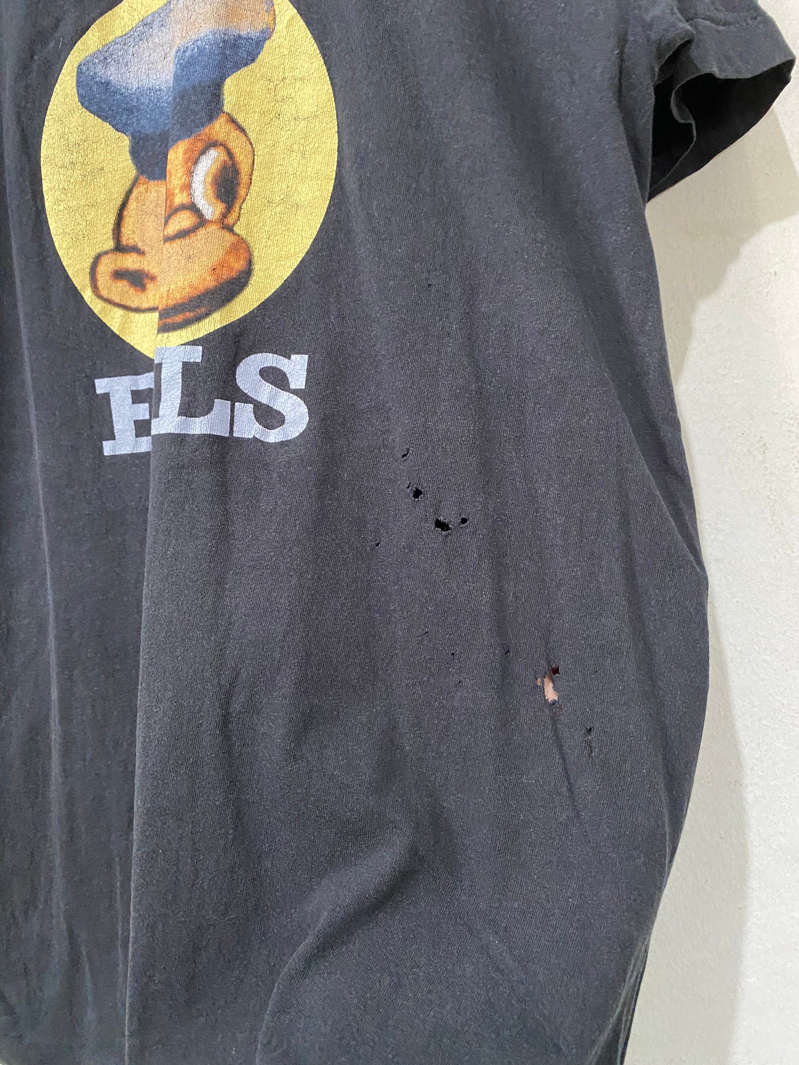 Vintage 2000 Eels Daisies of the Galaxy Tour T-shirt Size S - Etsy