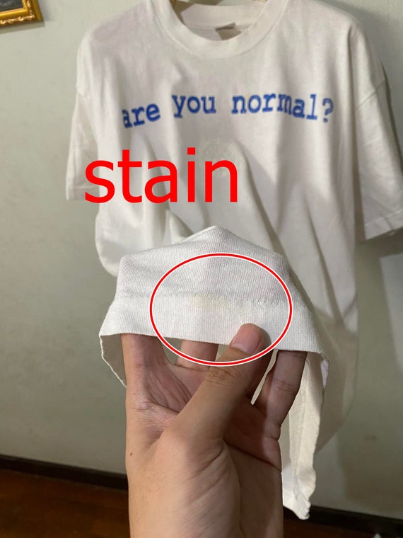 Vintage 90s Ned’s Atomic Dustbin Are You Normal Shirt… - Gem