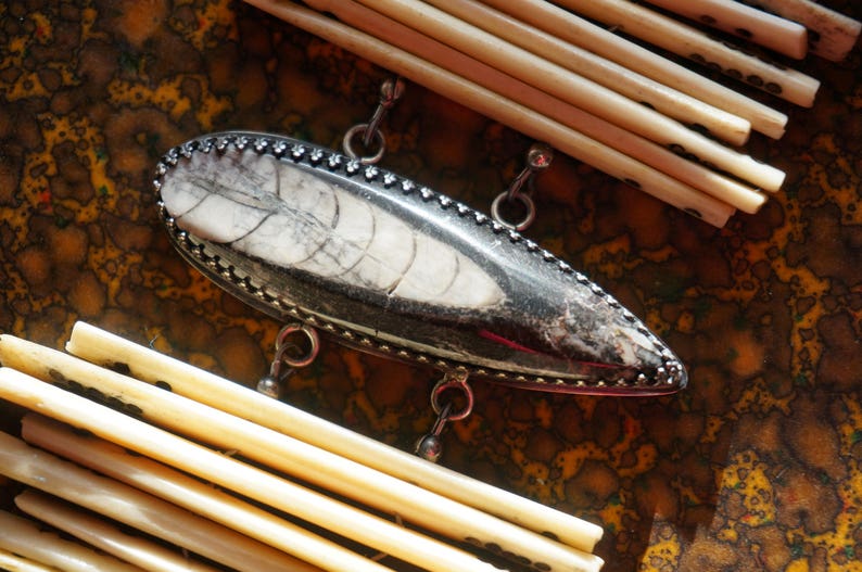 UNIQUE Vintage Bone Counting Stick & Orthoceras Fossil | Etsy