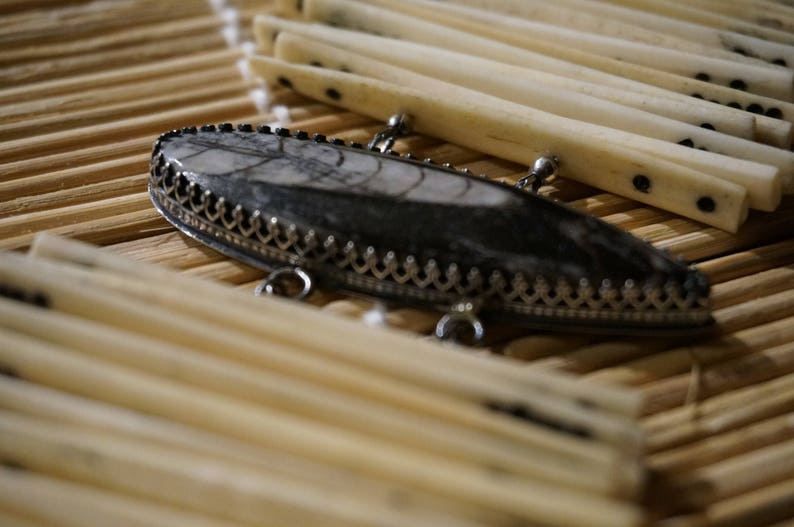UNIQUE Vintage Bone Counting Stick & Orthoceras Fossil | Etsy