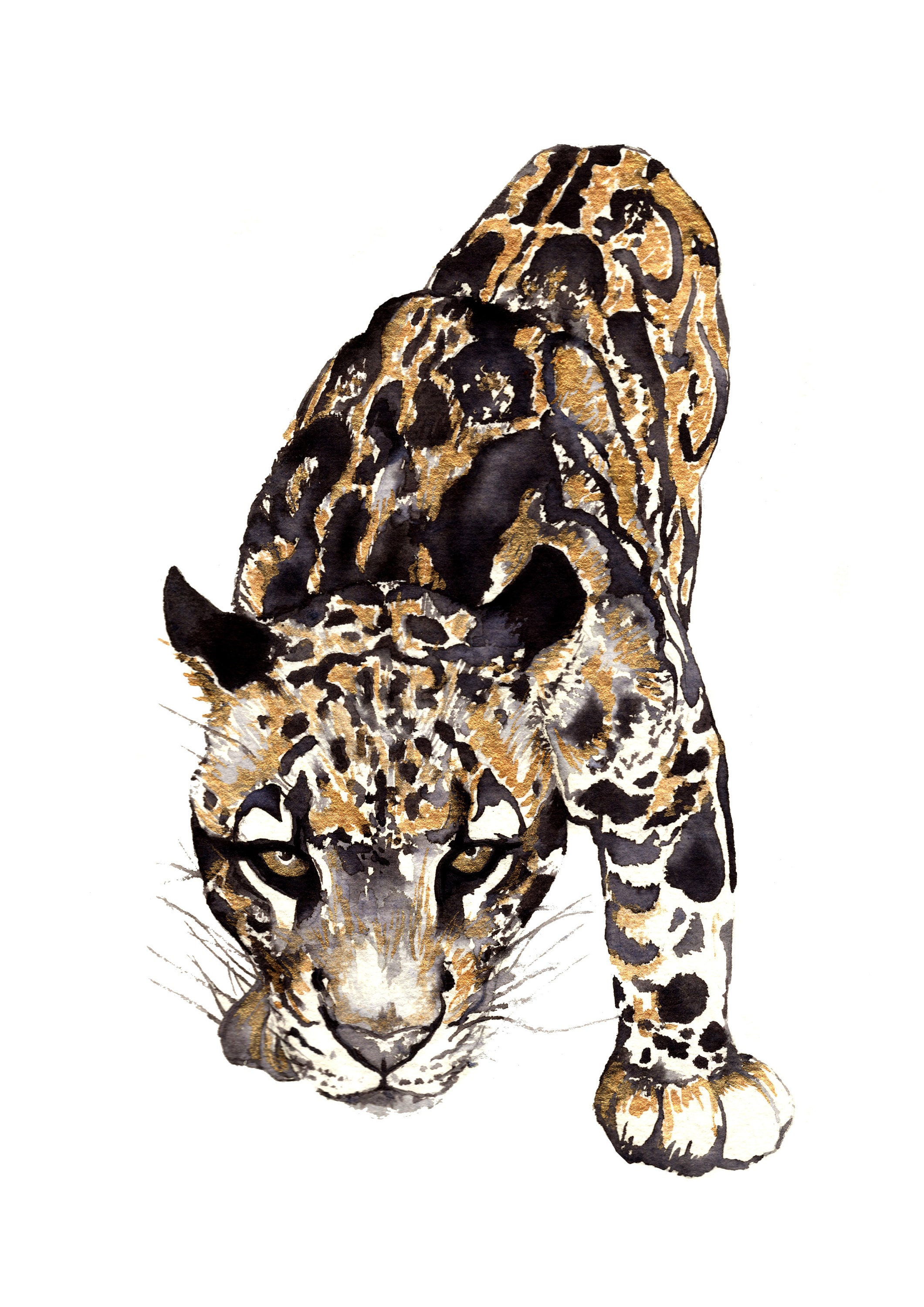 Clouded Leopard Art Leopard Art Big Cat Art Tropical Wall | Etsy