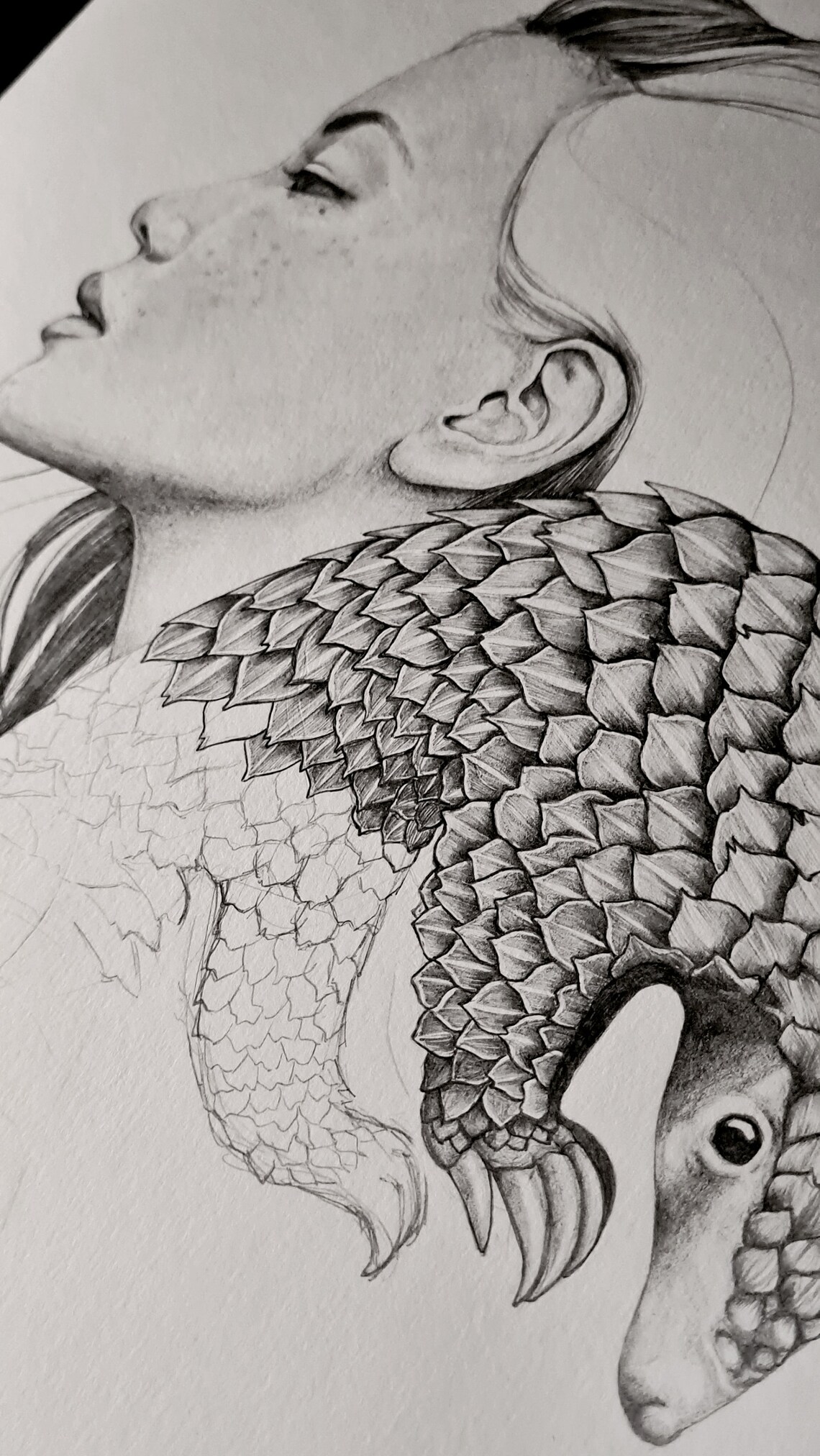 Pangolin Giclee Print A4 A3 or A2. Jungle Inspired Wall Art - Etsy