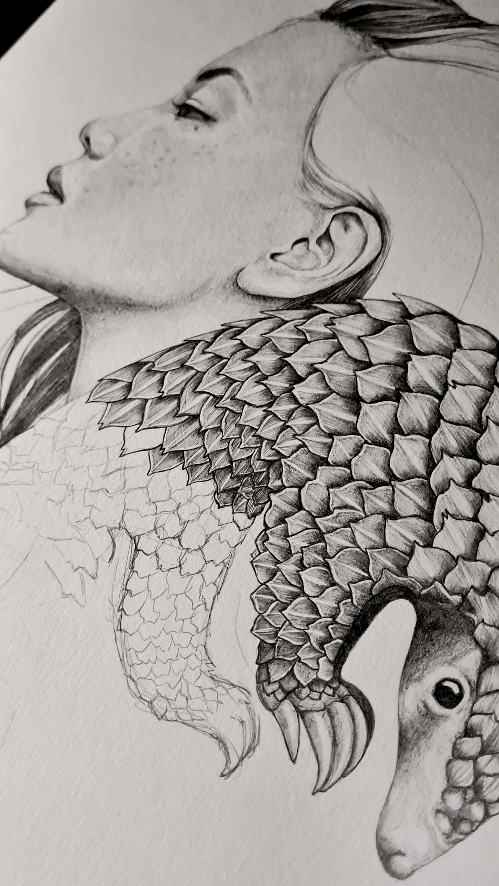 Pangolin Giclee Print A4 A3 or A2. Jungle Inspired Wall Art | Etsy