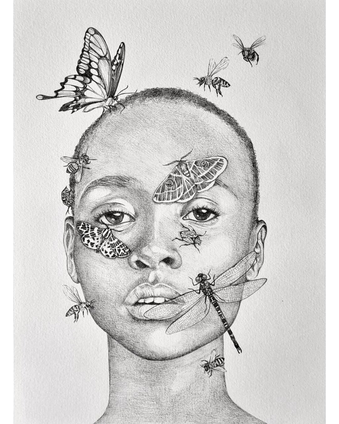 Original Pencil Drawing, 'pollinators' A4 on Mixed Media Paper ...