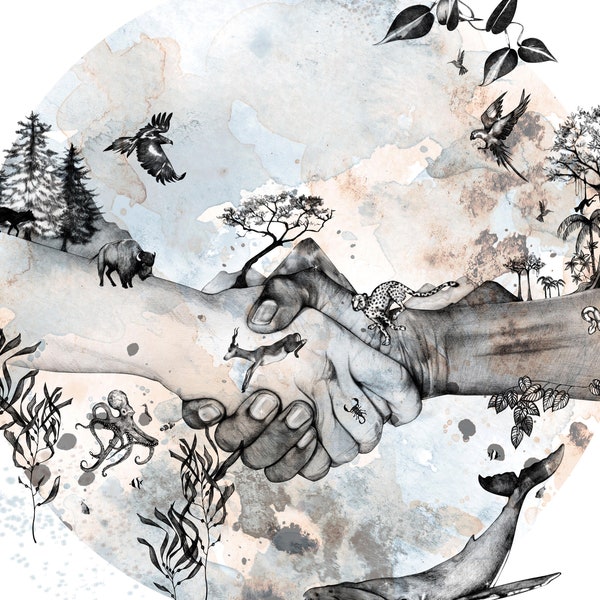 Conservation Art - Etsy