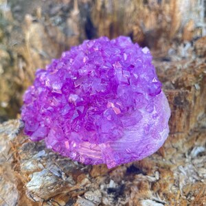 Purple ‘amethyst’ Covered Clam Shell - Crystalized Clam Seashell - Etsy
