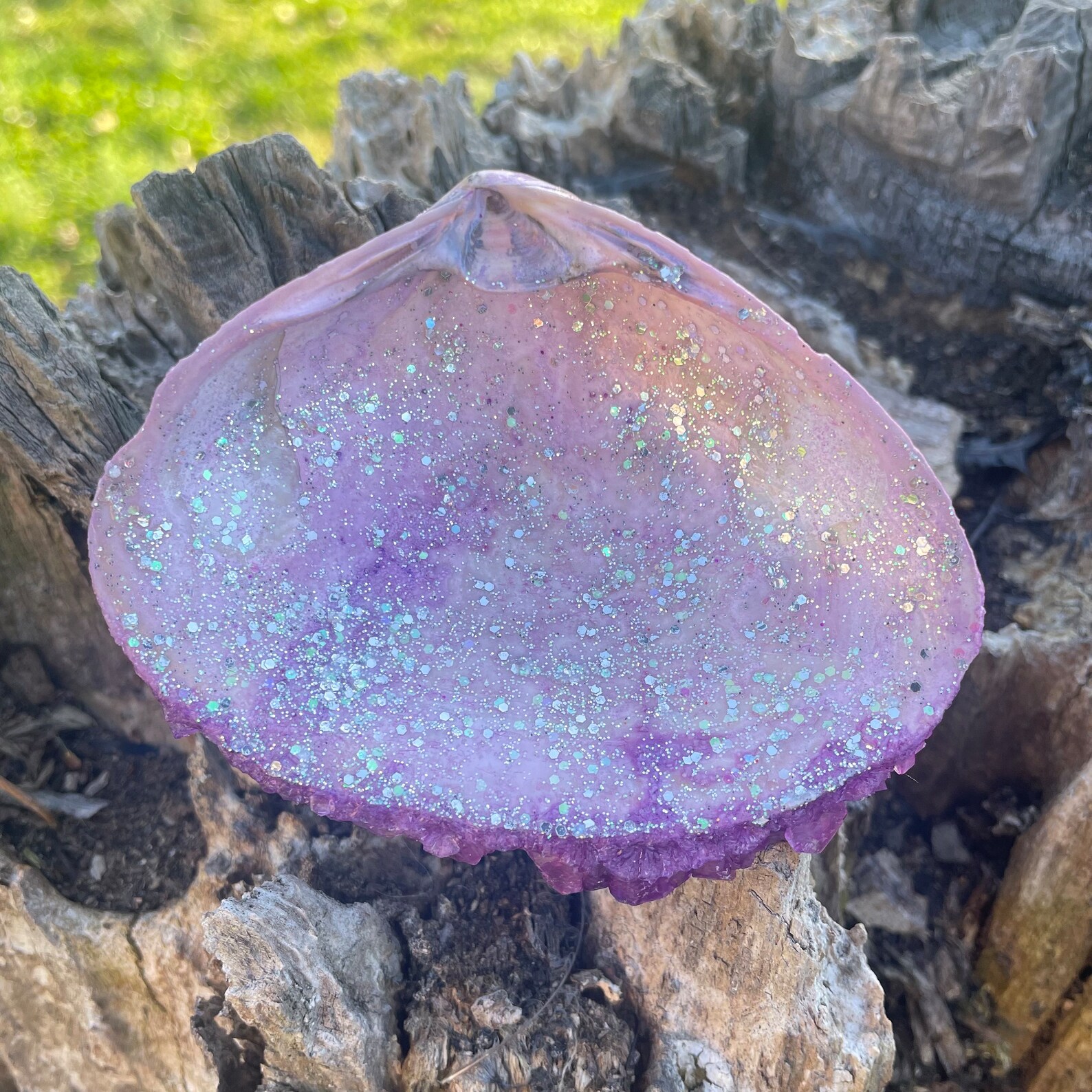 Purple ‘amethyst’ Covered Clam Shell - Crystalized Clam Seashell - Etsy