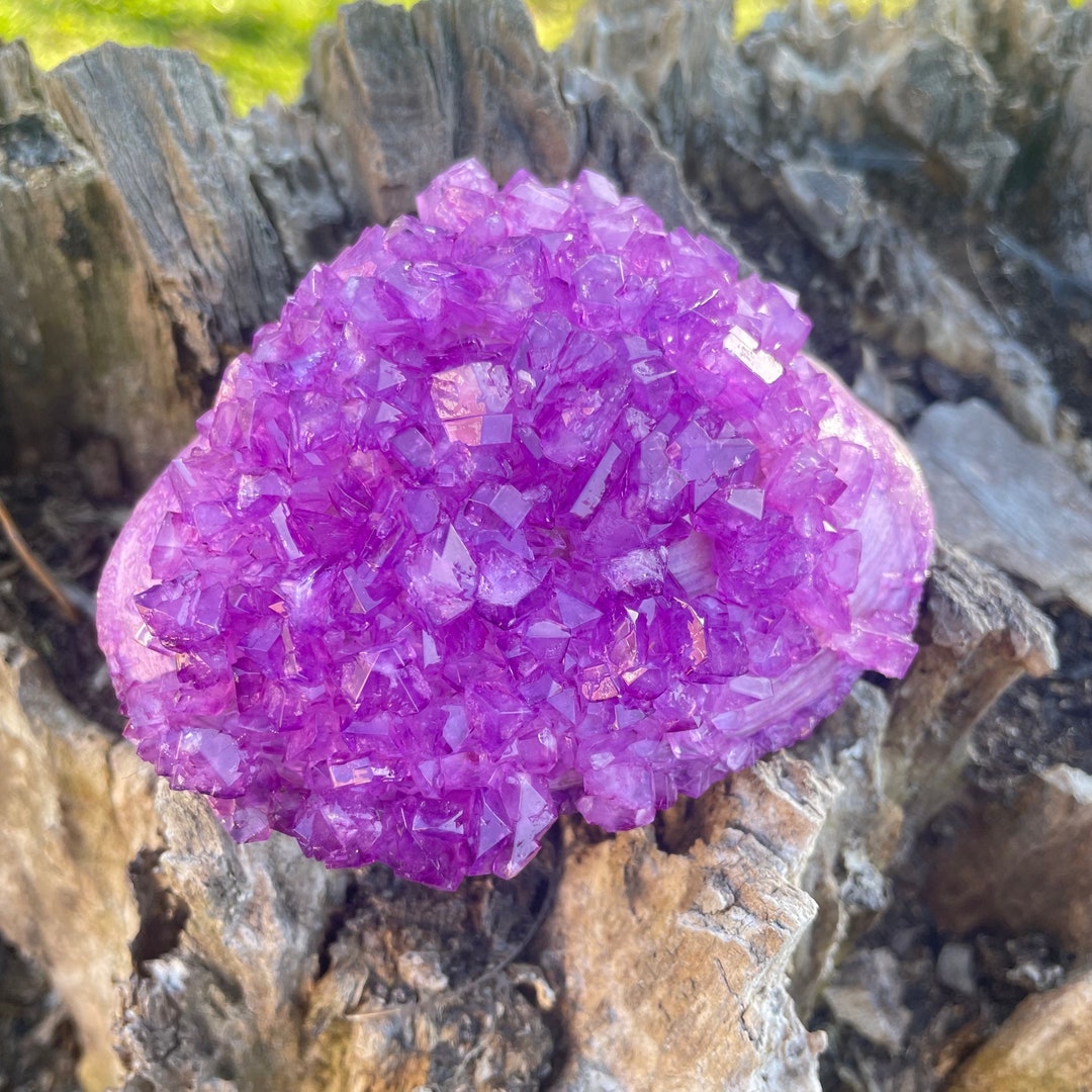 Purple ‘amethyst’ Covered Clam Shell - Crystalized Clam Seashell - Etsy