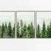 Pine Tree Printable Wall Art Instant Download Green Tree Print - Etsy