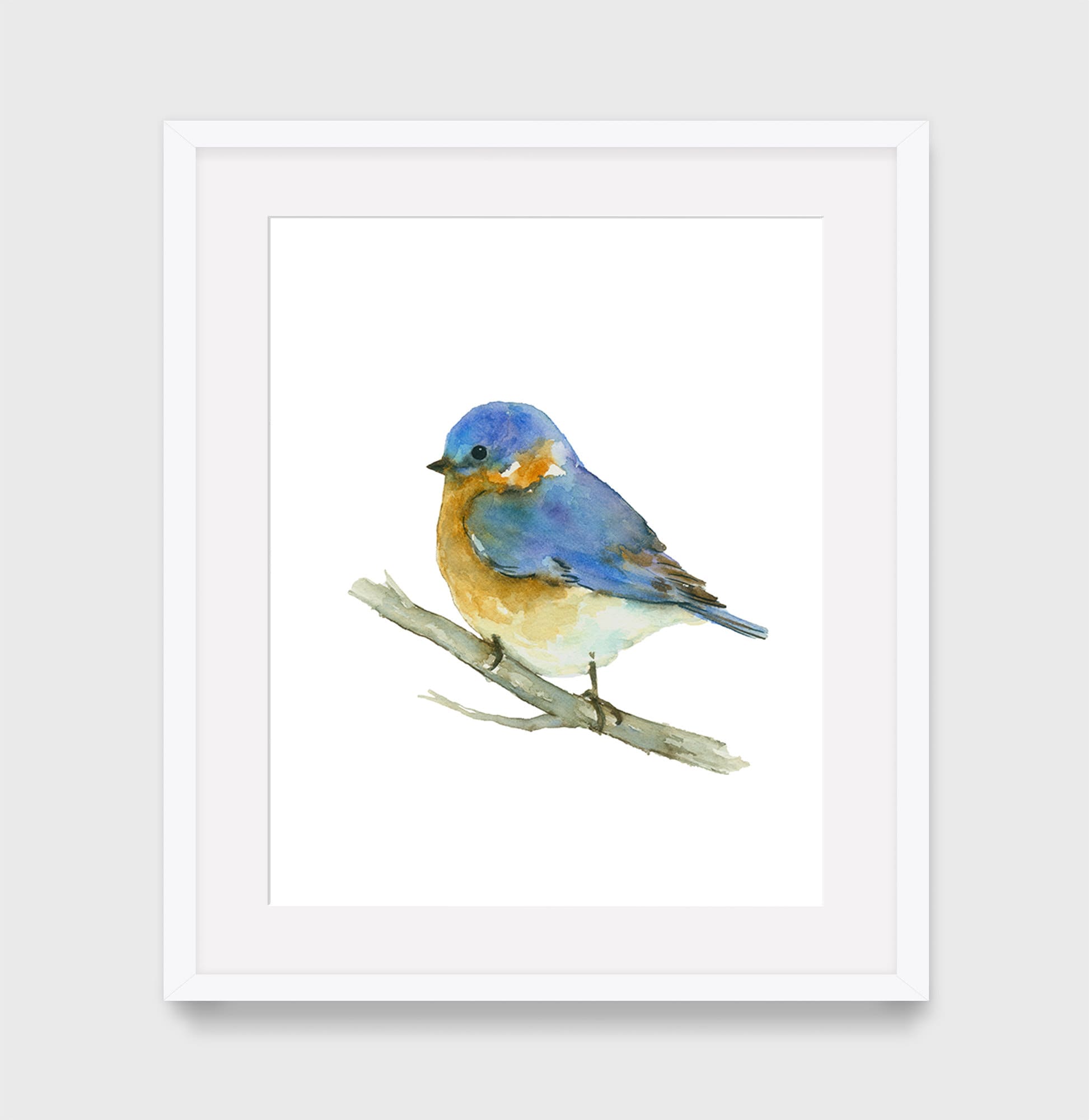Bluebird Bird Art Print Instant Download Winter Small Wild - Etsy