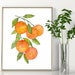 Watercolor Orange Print Fruit Kitchen Art Printable Citrus Wall Art ...