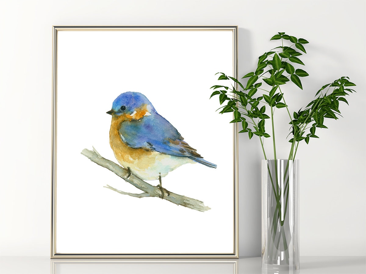 Bluebird Bird Art Print Instant Download Winter Small Wild - Etsy