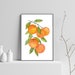 Watercolor Orange Print Fruit Kitchen Art Printable Citrus Wall Art ...
