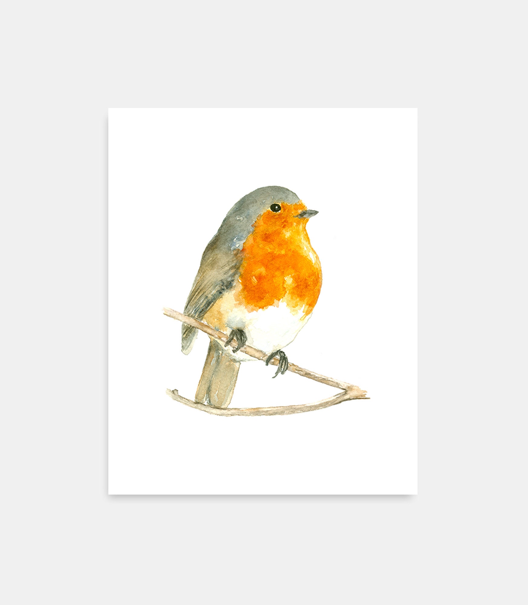 Robin Bird Art Print Instant Download Small Bird DIY Printable - Etsy