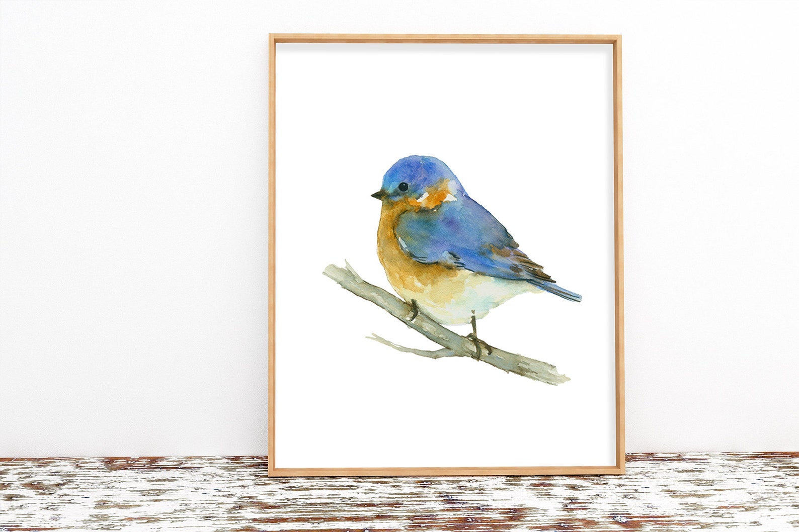 Bluebird Bird Art Print Instant Download Winter Small Wild | Etsy