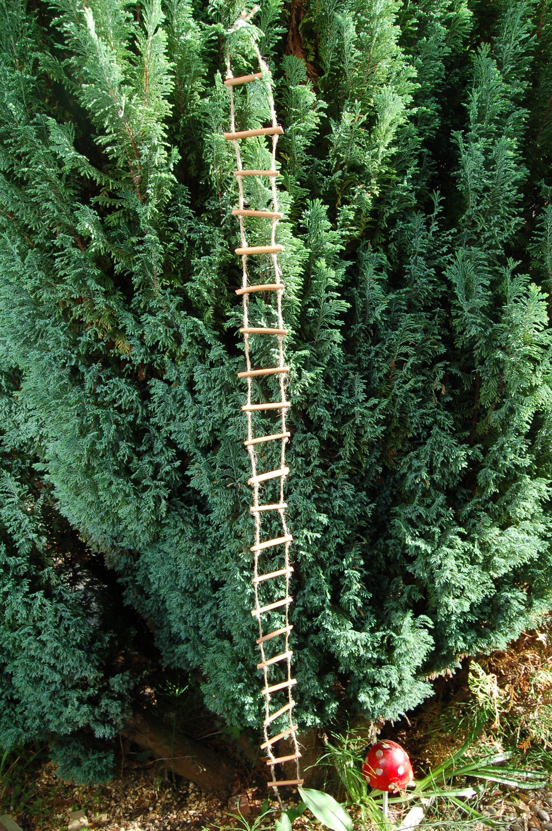 Custom Listing 1 Meter Buff Ladder With Moss - Etsy