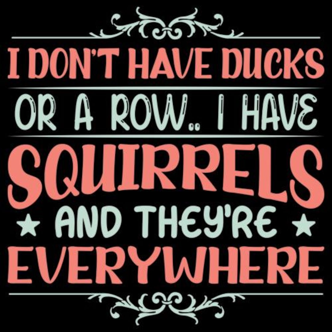 I Don't Have Ducks or a Row. I Have Squirrels and They're Everywhere ...