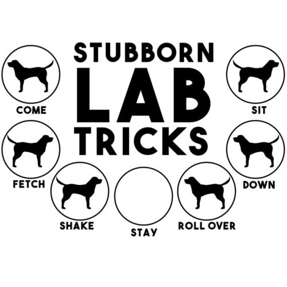 Stubborn Lab Tricks Labrador Shirt | Etsy