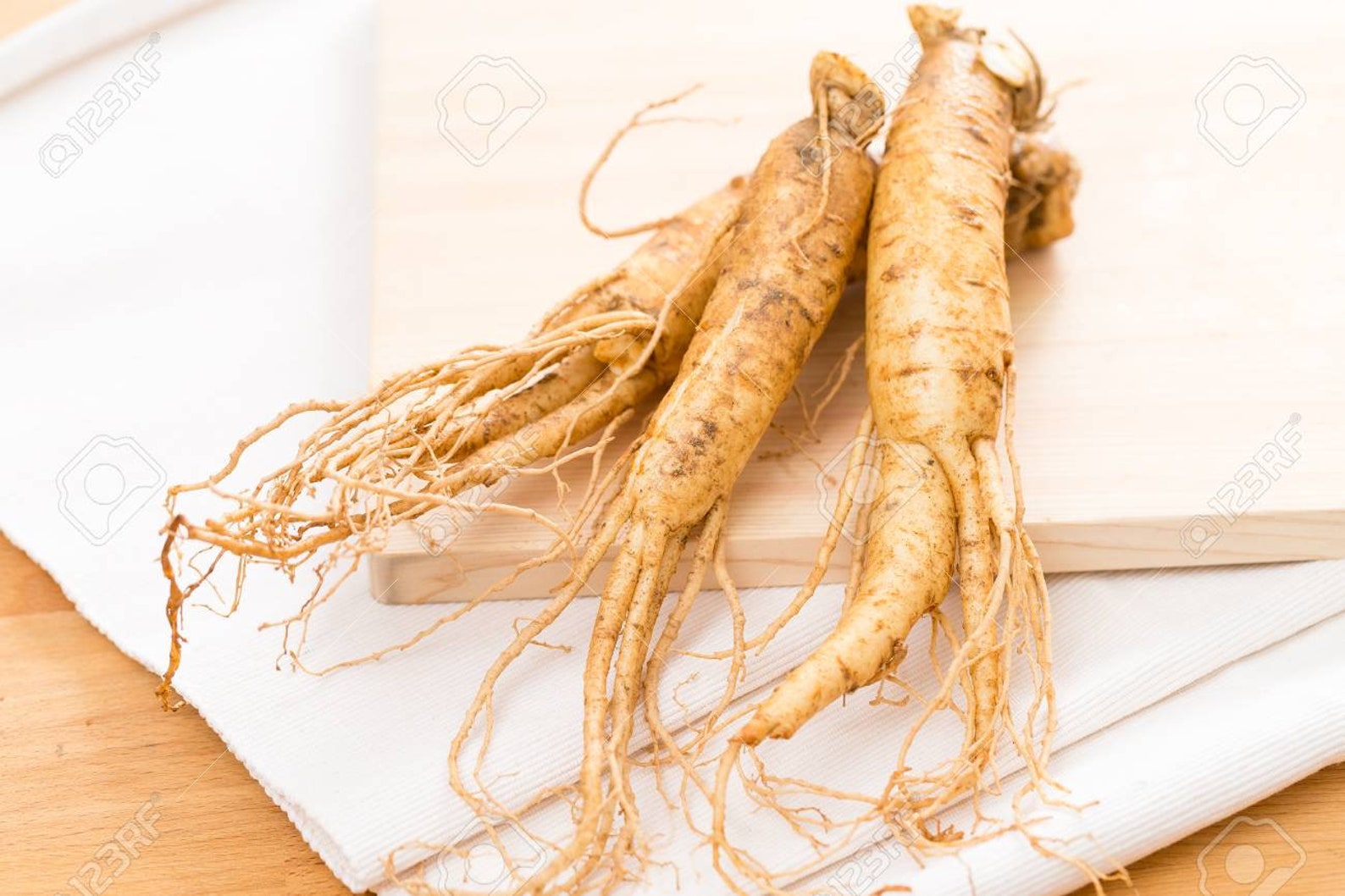 Fresh American Ginseng Roots 8 Oz straight From the Farmer to - Etsy