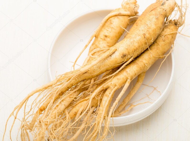 Fresh American Ginseng Roots 8 Oz straight From the Farmer to - Etsy