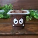 Goomba Faces- Super Goomba Pudding Wrapper- Brown Goomba Face Wrapper ...