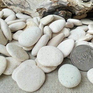 White Beach Stones 50-150 Set Sea Rocks Pebbles Flat Oval Round Pebble ...