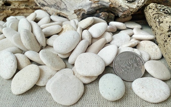 White Sea Stone Tesoro Ocean Stones Fit Sparkly White Pebble Mosaic
