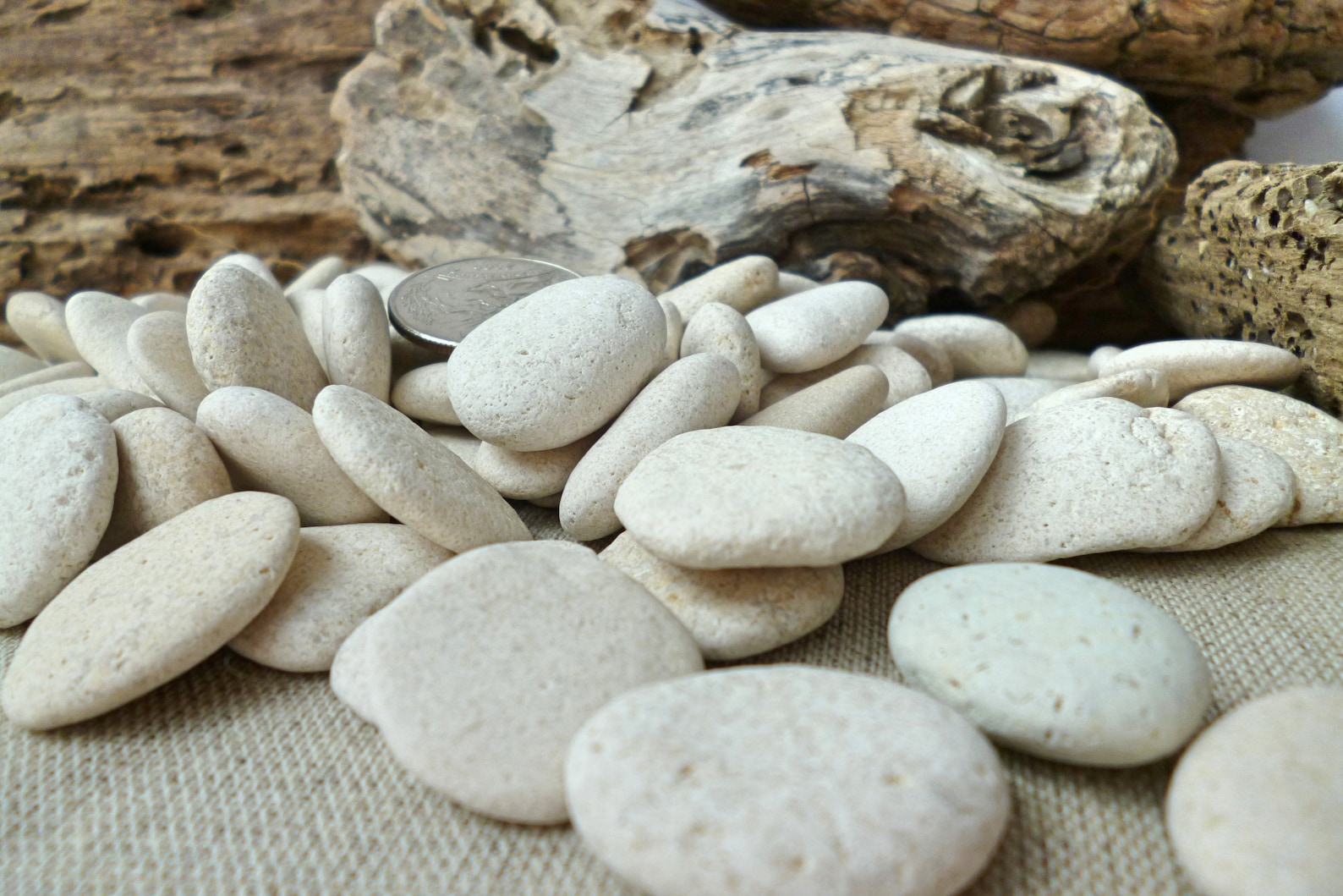 White Beach Stones 50-150 Set Sea Rocks Pebbles Flat Oval - Etsy