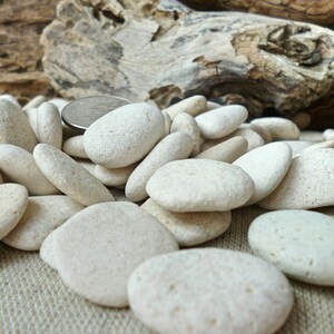White Beach Stones 50-150 Set Sea Rocks Pebbles Flat Oval Round Pebble ...
