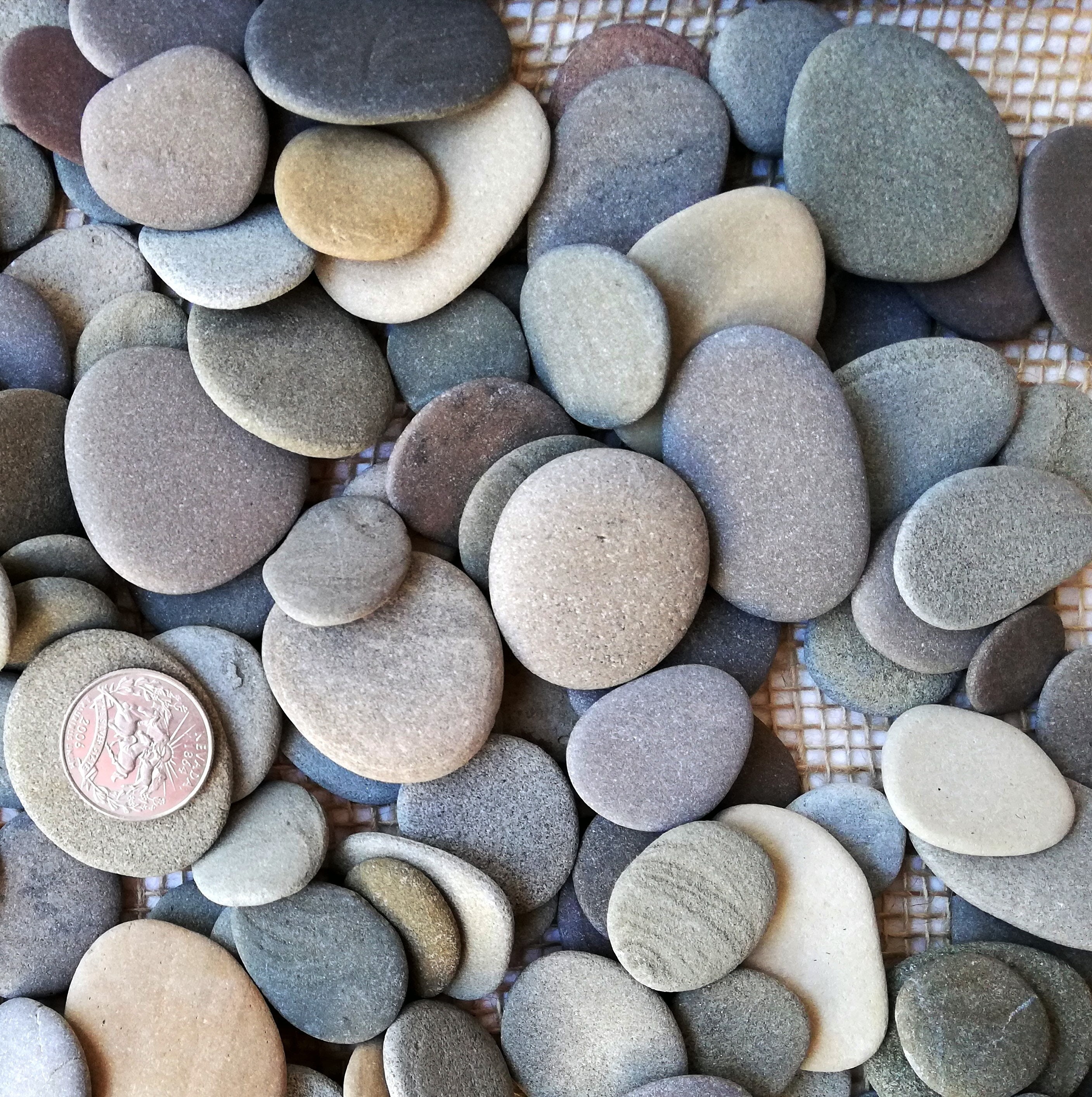 Beach Stones Lot 30-90 Set Sea Pebbles Craft Natural Flat Sea - Etsy