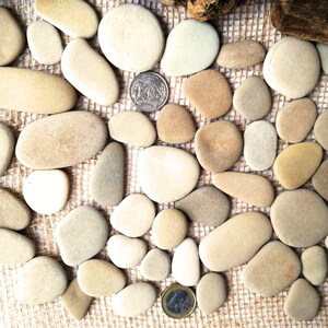 Beige Stones 20-55 Set Sea Pebbles Craft Natural Flat Beach Beige ...