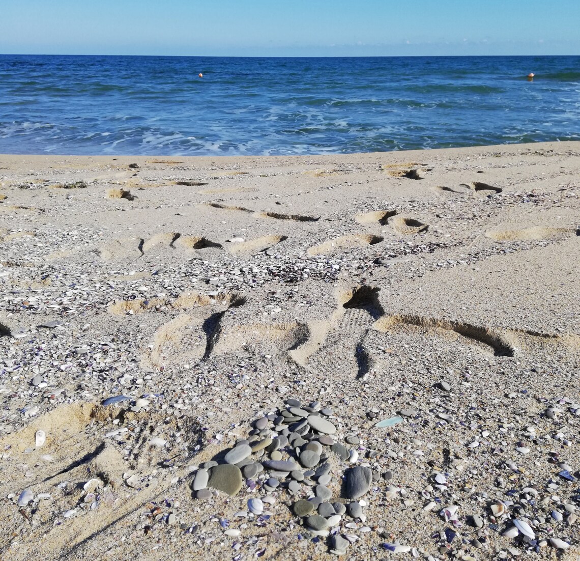 Beach Stones Lot 30-90 Set Sea Pebbles Craft Natural Flat Sea - Etsy