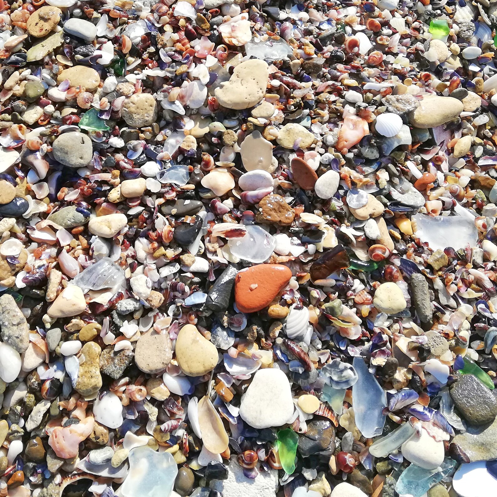 Bulk Lot 15 45 Sea Flat Terracotta Beach Pottery Craft | Etsy